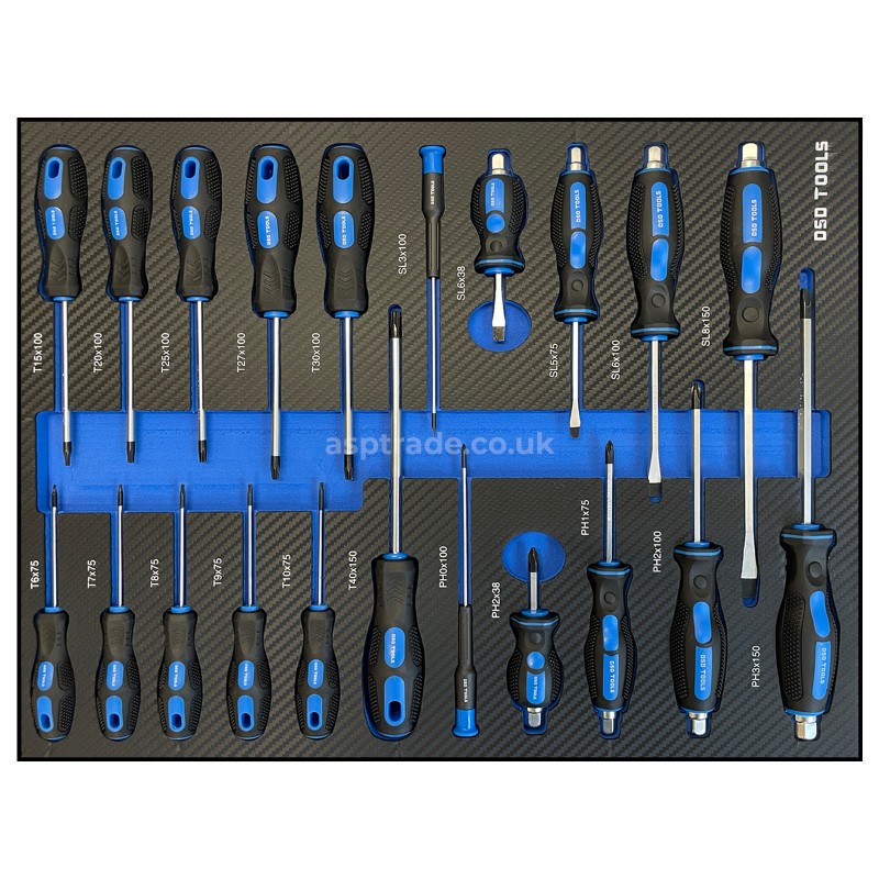 Nurnberg 7/6 Tool Chest - Silver | ASP TRADE